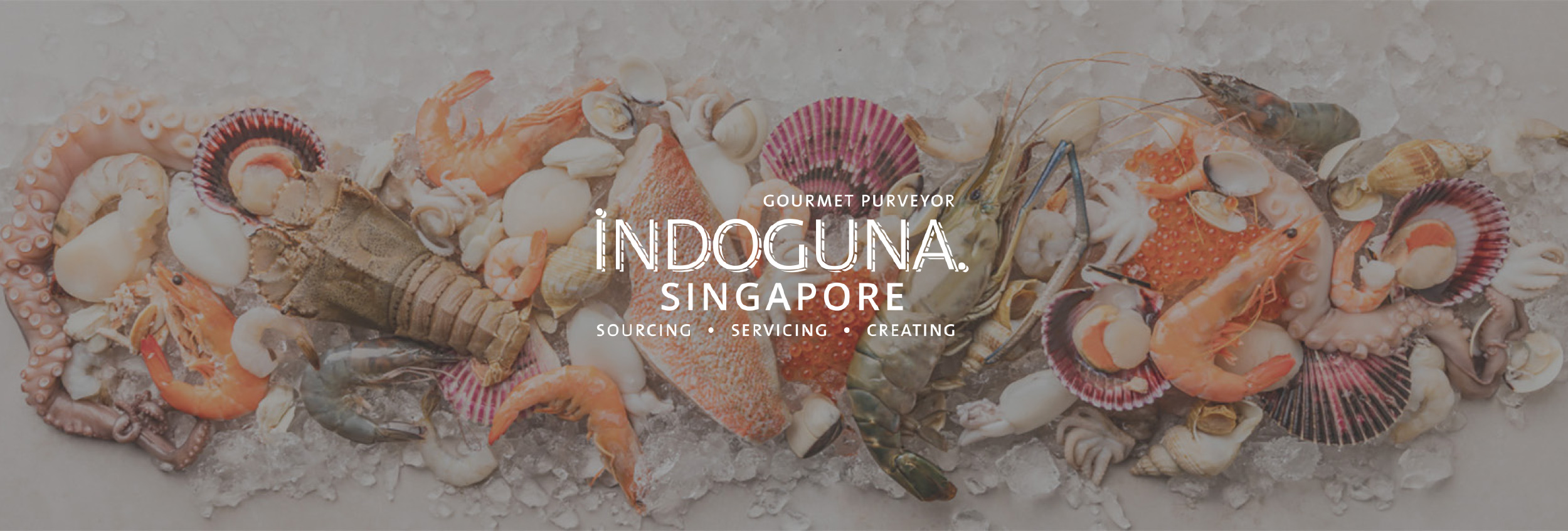 Indoguna – Abrolhos Octopus